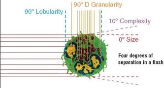 CELL-DYN RUBY | Công ty TNHH Thiết bị Việt Ba